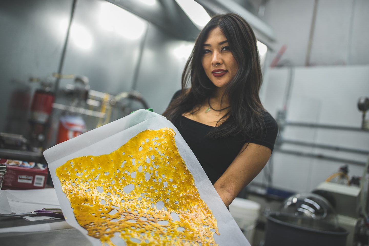 Subdued and Excited | merrrica | One Puff at a Time